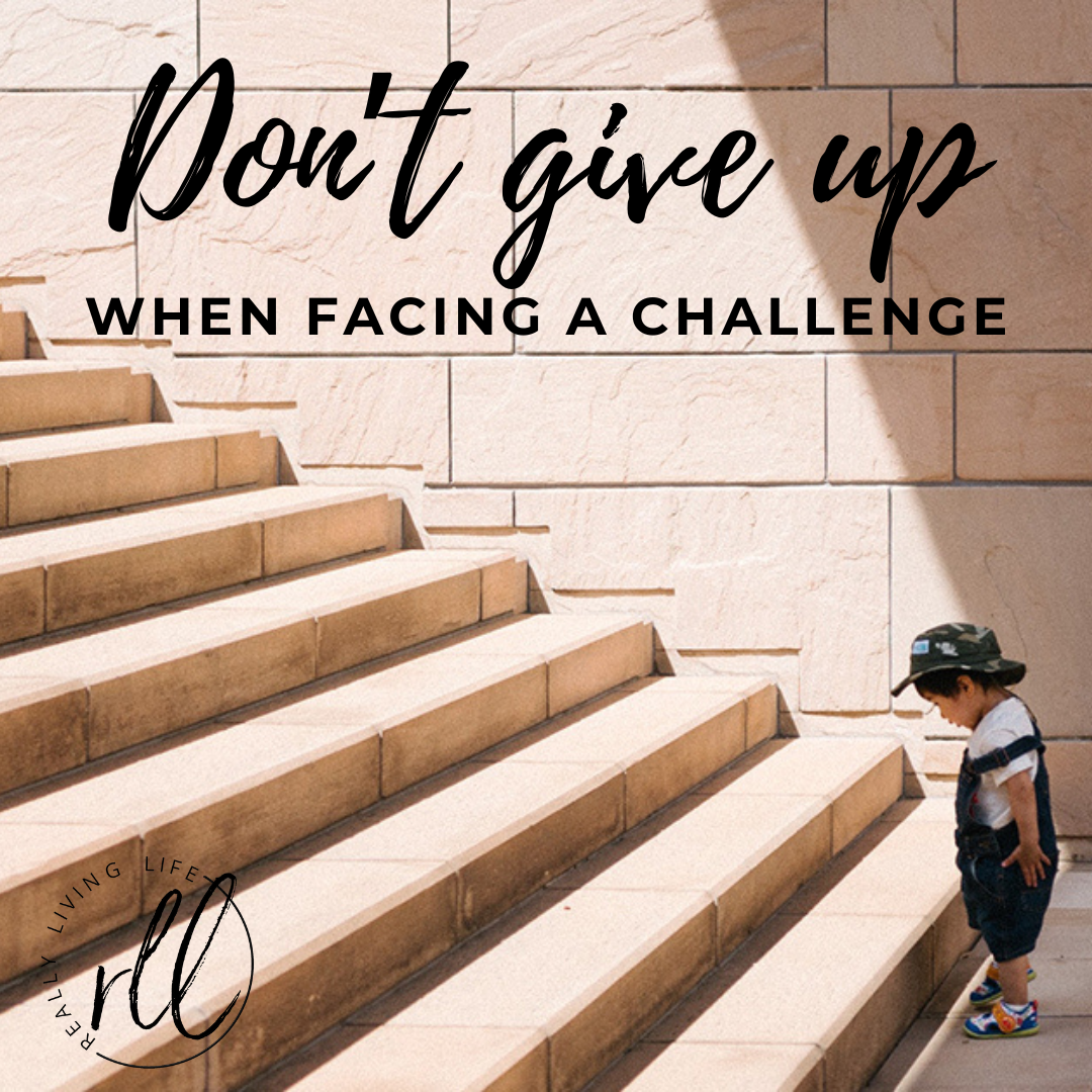 Don't give up when facing a challenge! - The Align Program